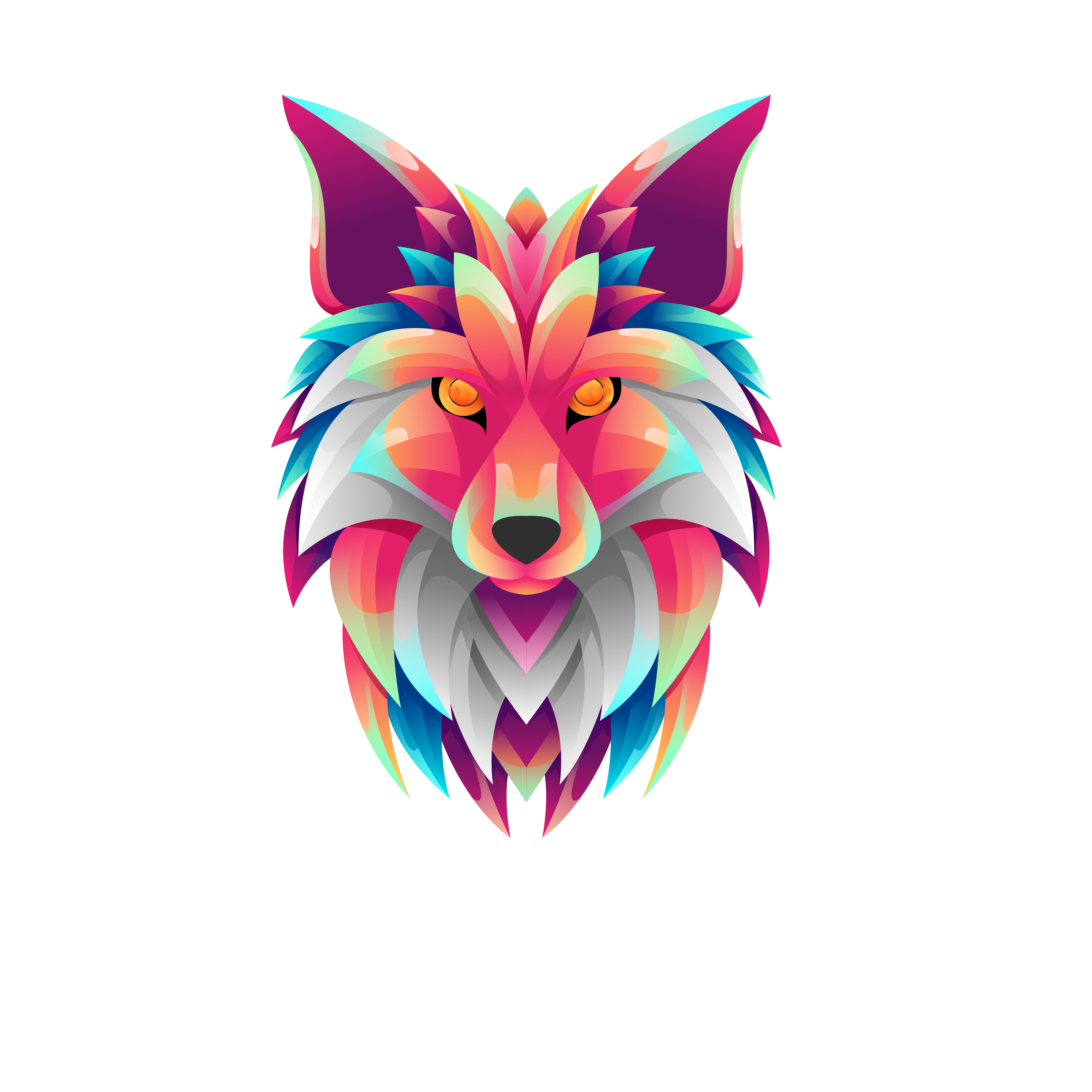 About Us – Animal Tuning